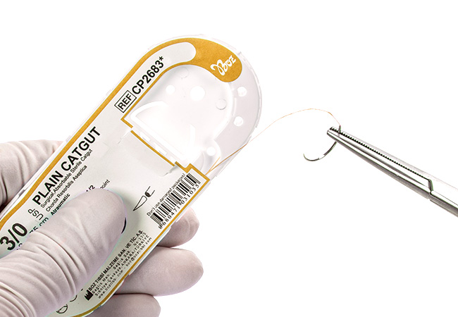 Absorbable Surgical Normal Plain Catgut Veterinary Suture - Boz Medical